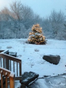 Holiday Fruit Drop Cookies – geekycooker.com